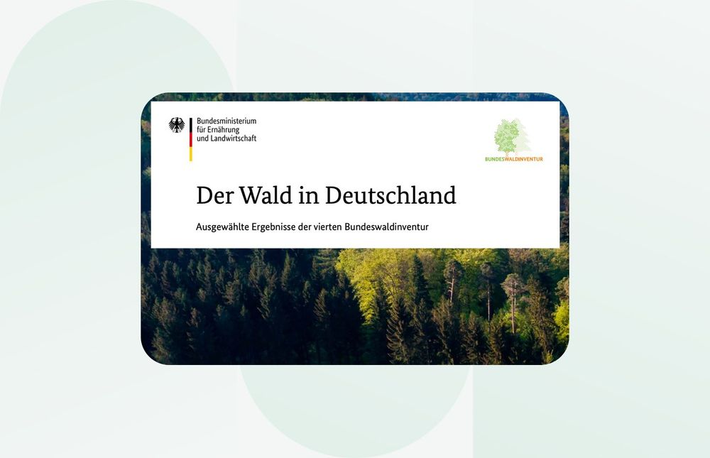 Germany’s Forests: The Fourth National Forest Inventory - Tree.ly
