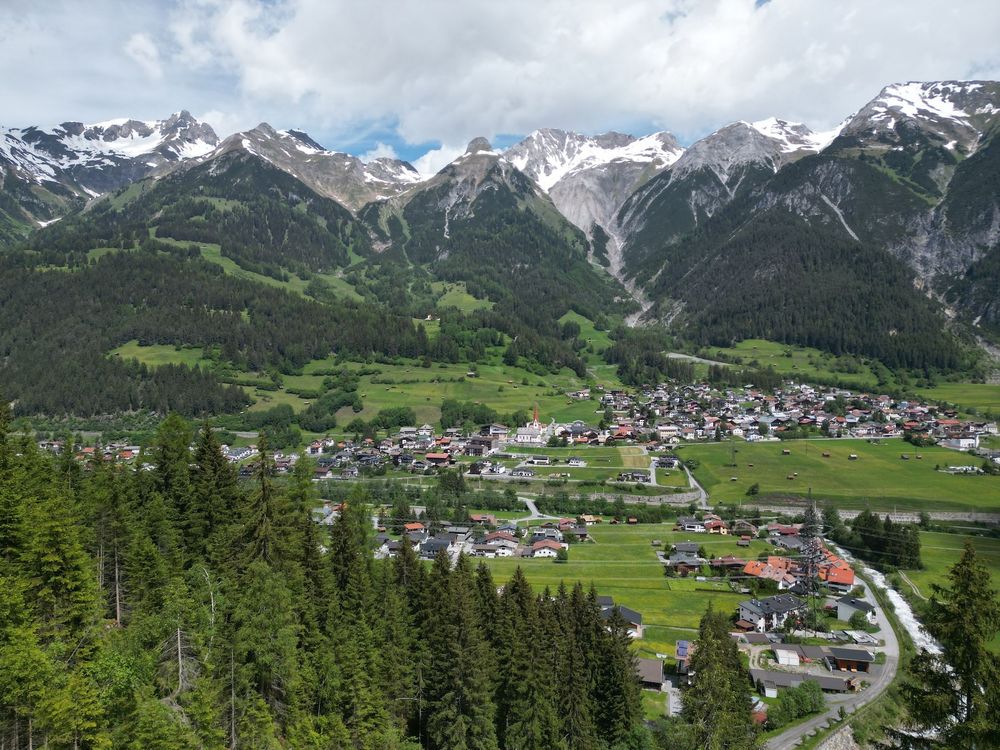 Pettneu Municipal Forest - Tree.ly