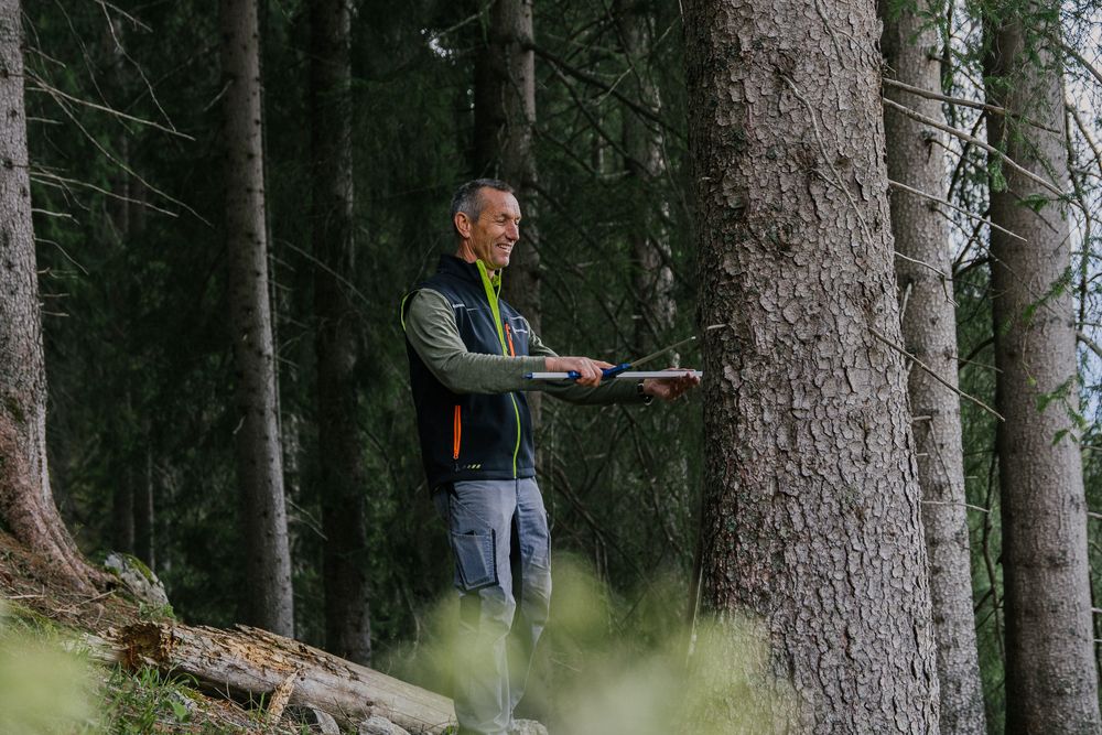 Silent Heroes: Austrian Forest Inventory 2016-2021 - Tree.ly