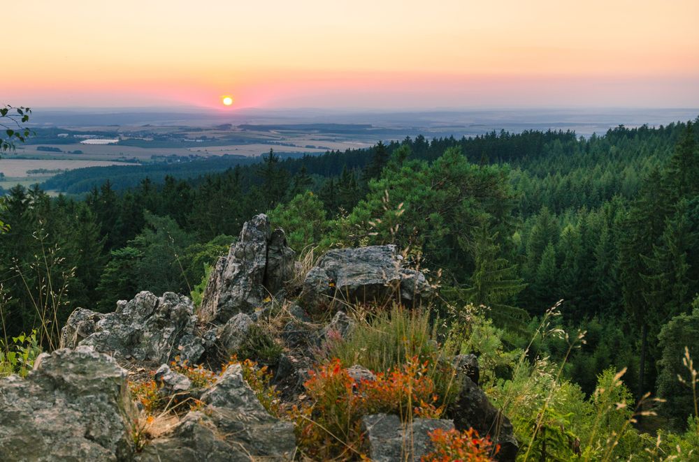 Forest Administration Colloredo-Mannsfeld spol. s.r.o. - Tree.ly