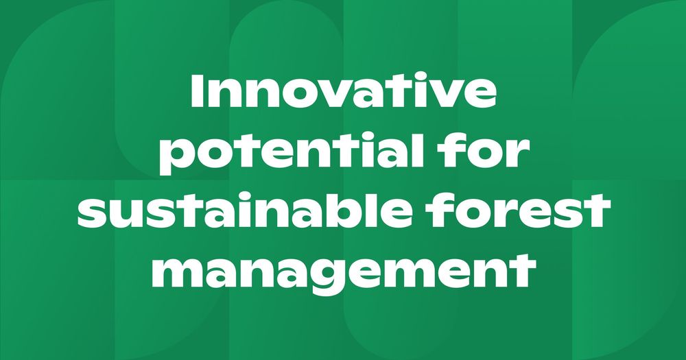 Innovative potential for sustainable forest management - Tree.ly