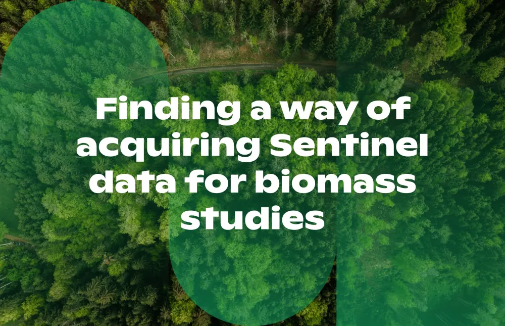 Finding a way of acquiring Sentinel data for biomass studies - Tree.ly
